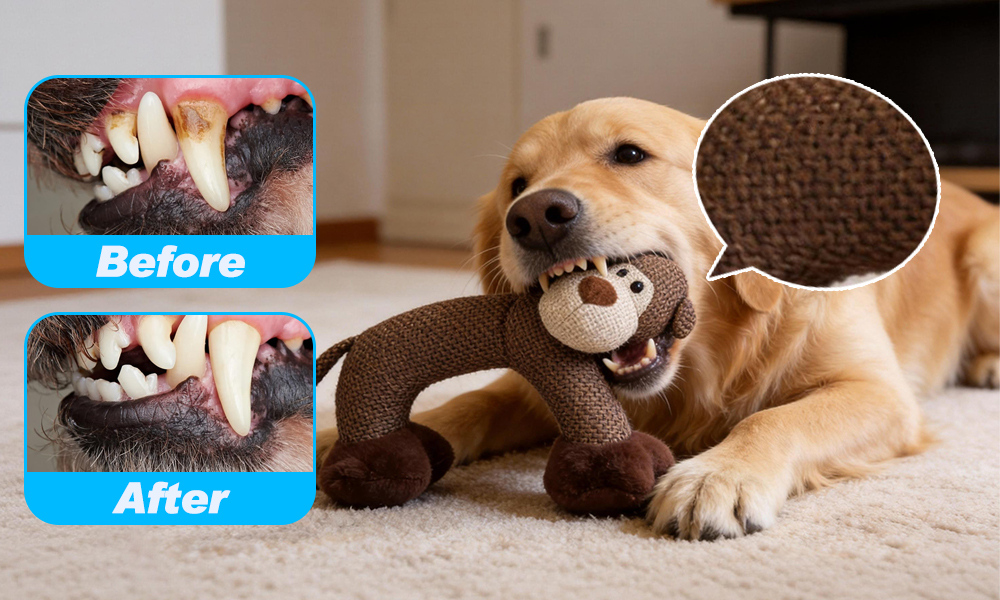I Used to Replace My Dog’s Toys Every Week—Until I Discovered the ...
